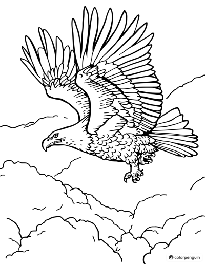 Bald Eagle Soaring In Sky Coloring Page