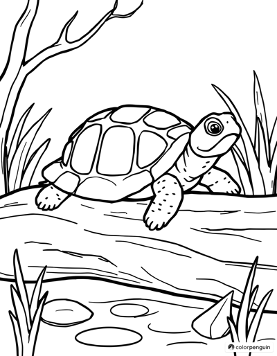 Turtle Resting On A Log Coloring Page