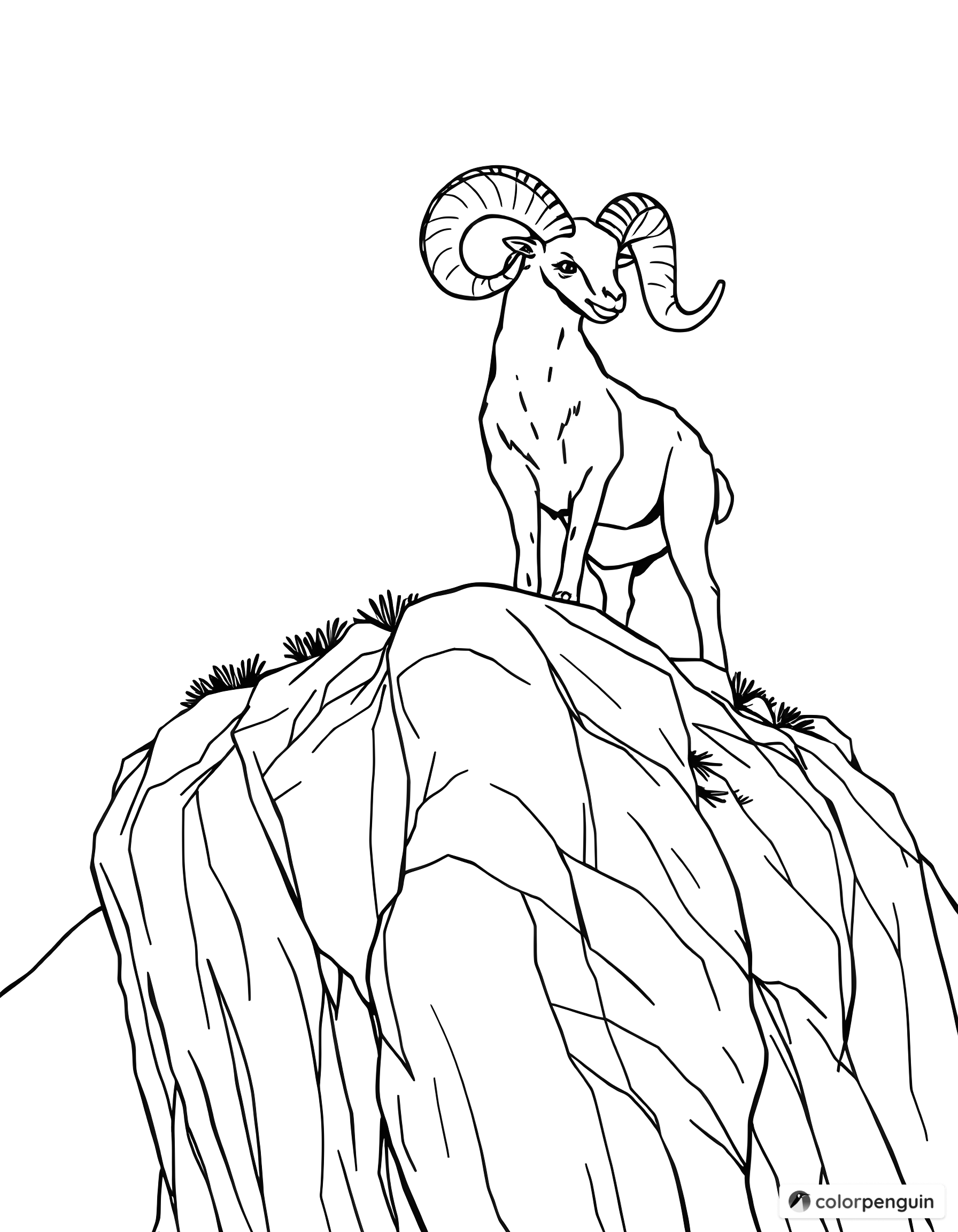 Bighorn Sheep On Cliffs Coloring Page