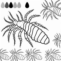 Head Lice Coloring Page