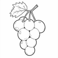 Grape Coloring Page