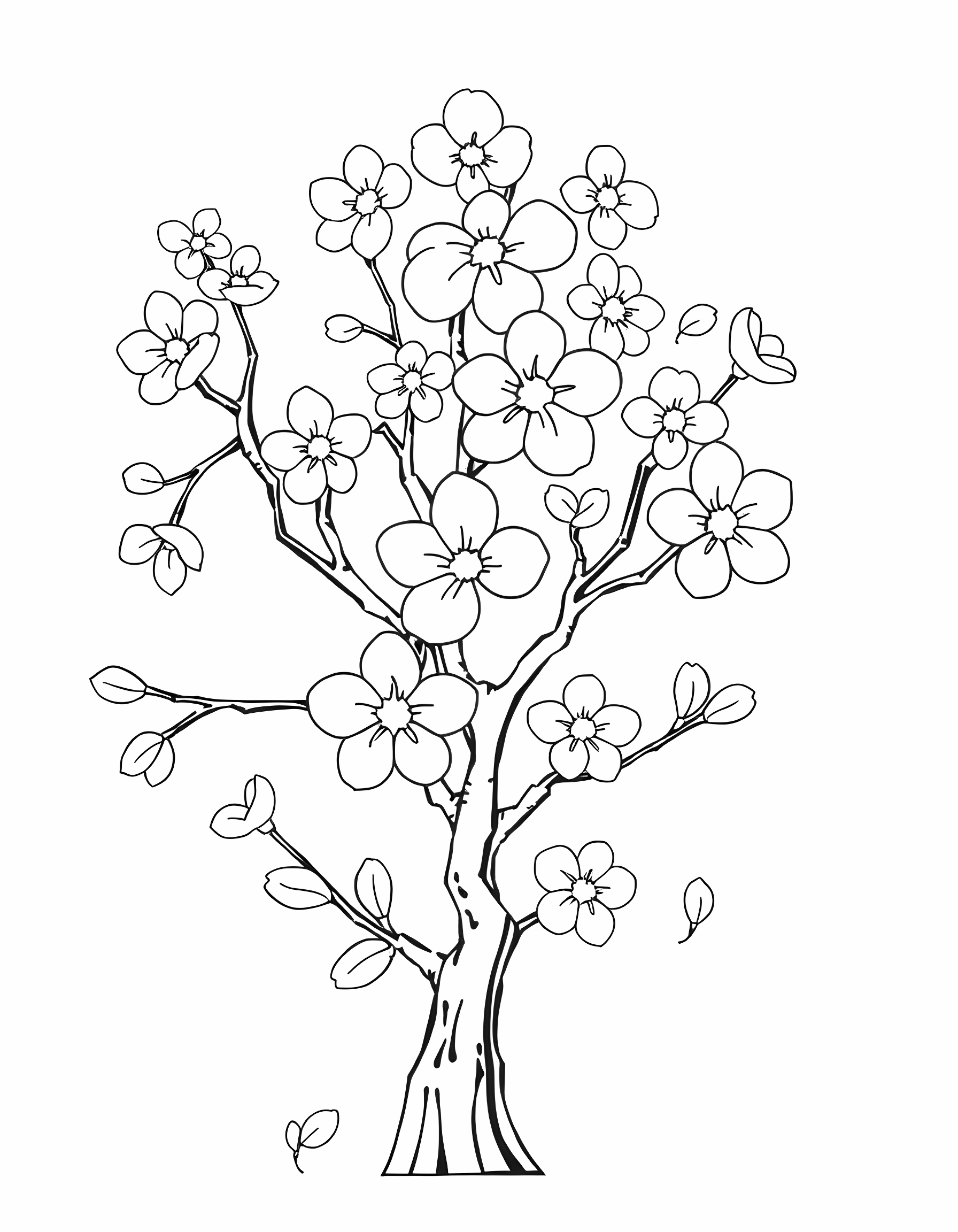 Spring Blossoms On A Cherry Tree With Falling... Coloring Page