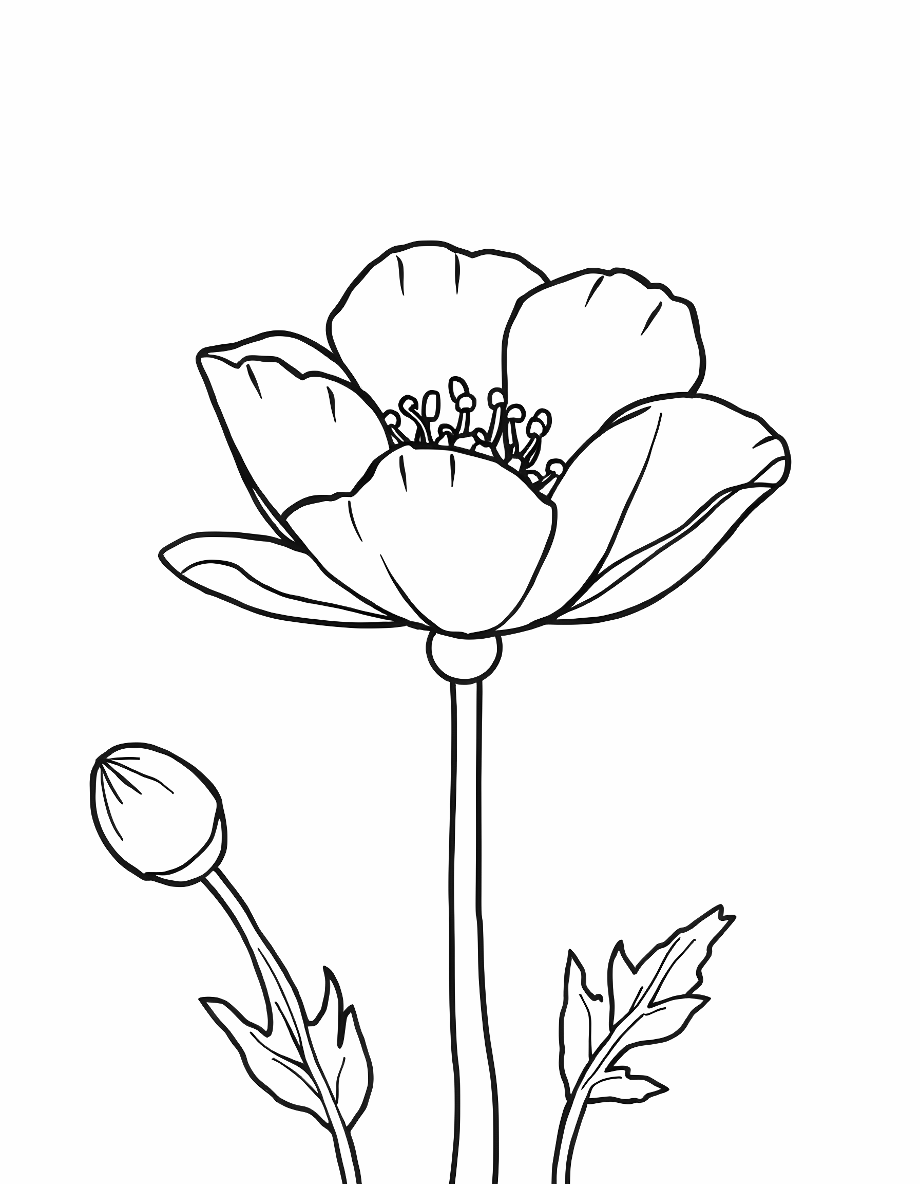 Anemone Coloring Page