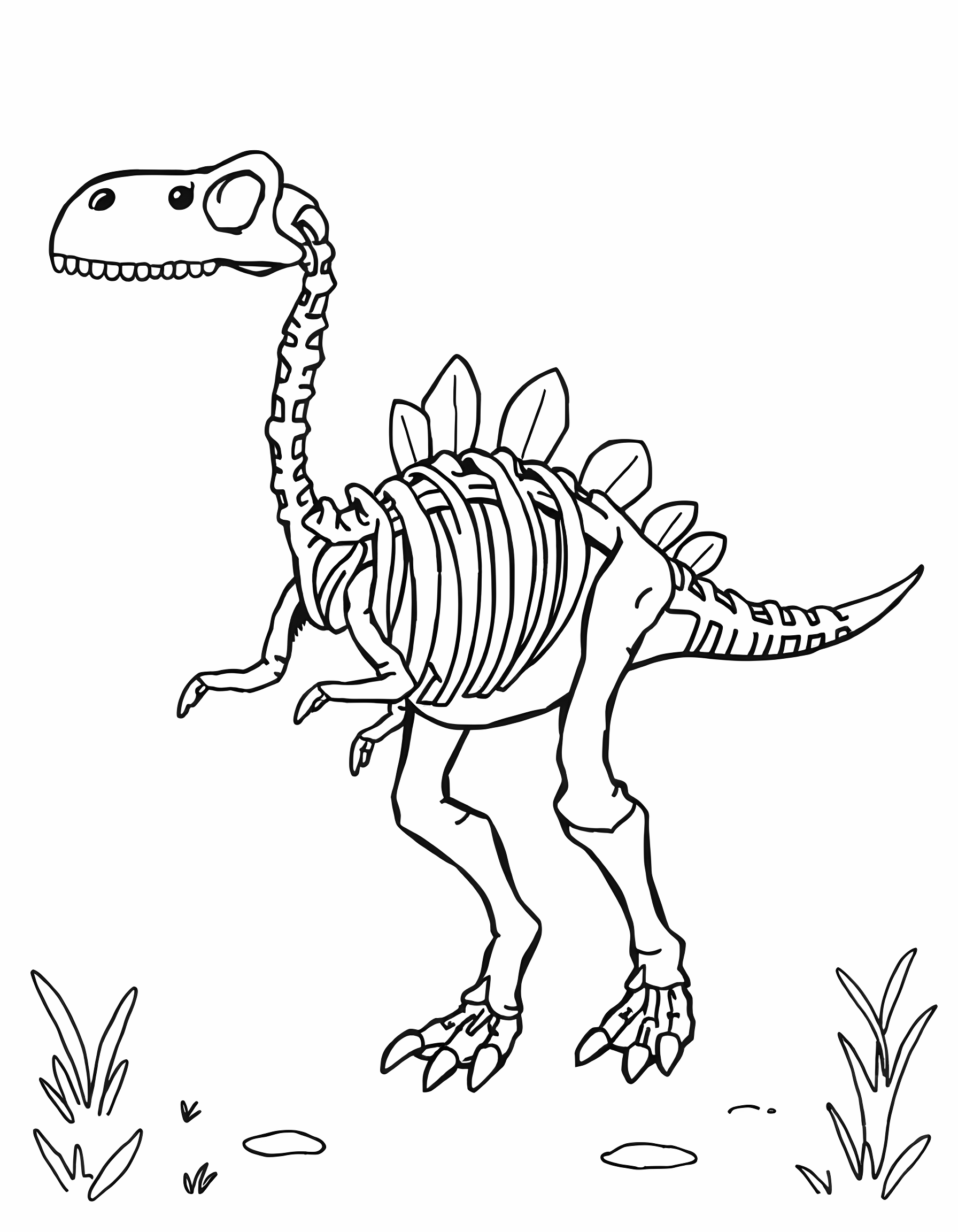 Dinosaur Skeleton Displayed In A Museum With... Coloring Page
